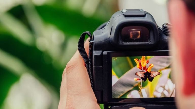 Teknik Pengambilan Gambar Close Up Dalam Fotografi